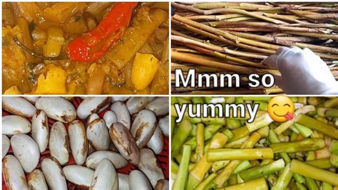 আজকের রেসিপি কছুর লতি চেপা R লটিয়া শুটকি এ রকম ট্টাই করেন Rকিছুই লাগবে না 😋 Youtube