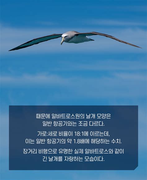 새처럼 날갯짓하는 항공기가 있다 연비 높이기 위한 다양한 기술들 Kisti의 과학향기