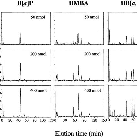 Hplc Elution Profiles Of The 33 P Labeled Pah Dna Adducts Formed In Download Scientific Diagram