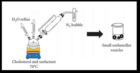 Preparation Of Niosomes By Reverse Phase Evaporation Method [12] Download Scientific Diagram