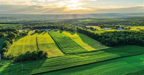 Farm Fodder Flow Go With The Flow Barenbrug