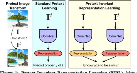 Figure 1 From Self Supervised Learning Of Pretext Invariant Representations Semantic Scholar