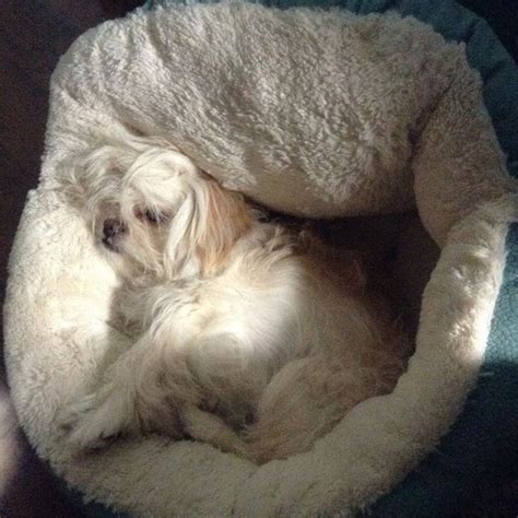 Such A Fabulous Idea I Have Womanly Calves With Very Small Feet So