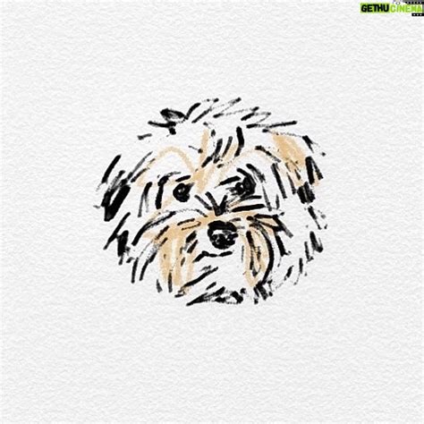 Anna Apter Gethu Cinema