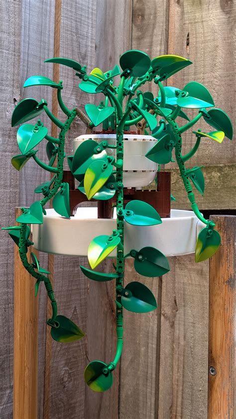 Review Lego 11512 Hanging Golden Pothos Jays Brick Blog
