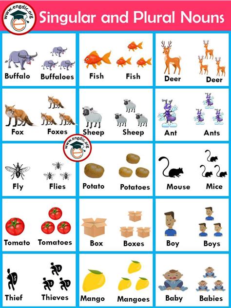 Singular Nouns Plural Nouns Plurals English Grammar Worksheets Hot