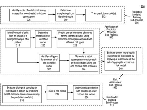 deep learning models predict future cancer development bioworld