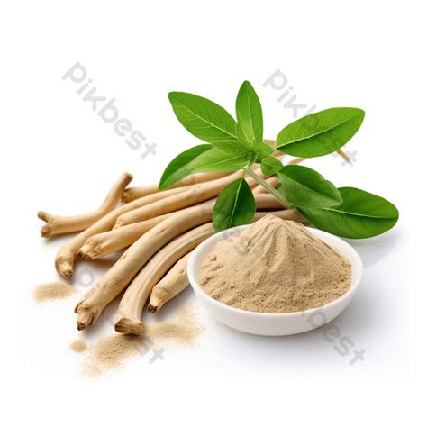Ashwagandha Is A Traditional Herbal Remedy Avail Png Images Psd Free