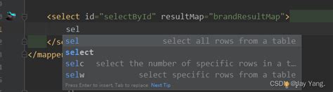 idea编写mybatis的mapper的sql映射文件sql代码补全 mybatis代码补齐 csdn博客