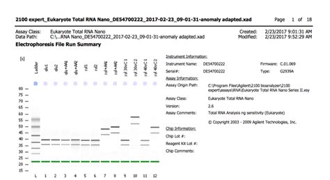 How To Interpret Bioanalyzer Results When They Are Threshold Anomaly Manually Adapted