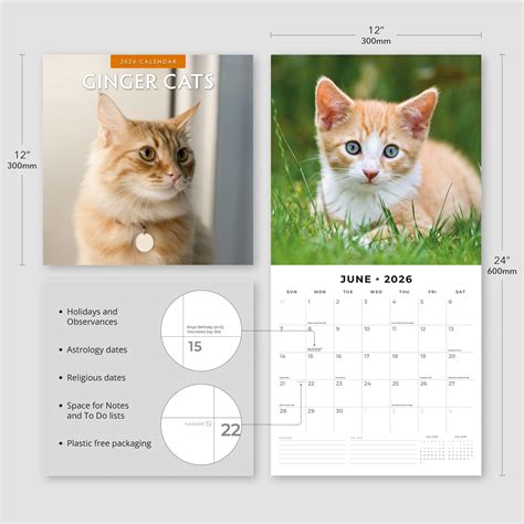 2026 Ginger Cats Square Wall Calendar
