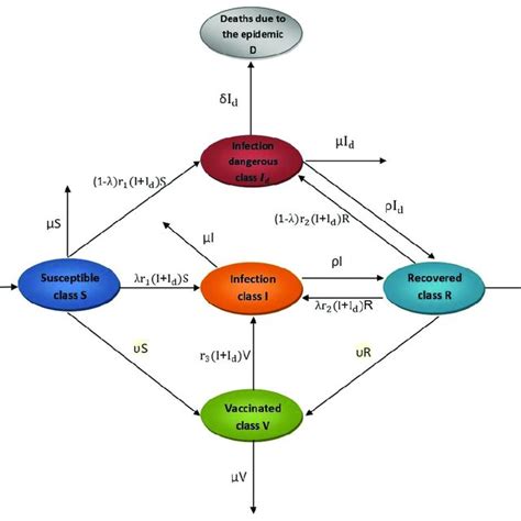Diagram Showing The Transitions Between Categories Download Scientific Diagram