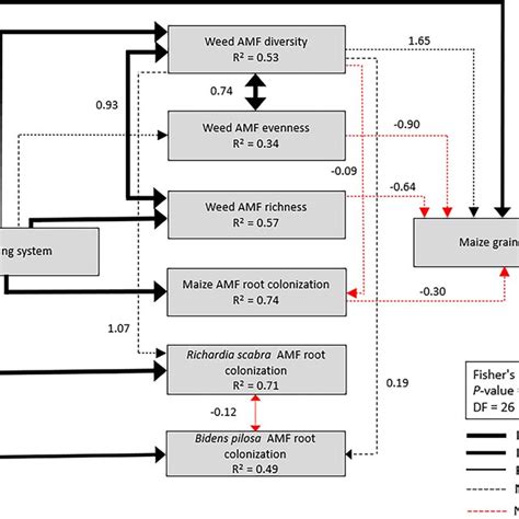 Structural Equation Model Sem Path Analysis Showing The Effect Of
