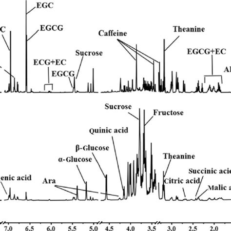 Representative 1 H Nmr Spectra Of Extracts Of Young Tea Shoots A And