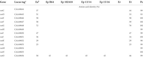 Absence Of The Out Cluster From The Type Ii Secretion System In Erwinia Download Scientific
