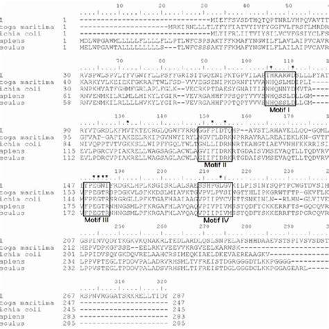 Multiple Sequence Analysis Of All4871 Protein Sequence With The
