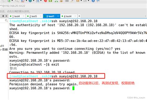 【linux网络】ssh服务与配置，实现安全的密钥对免密登录linux配置公钥登陆ssh Csdn博客
