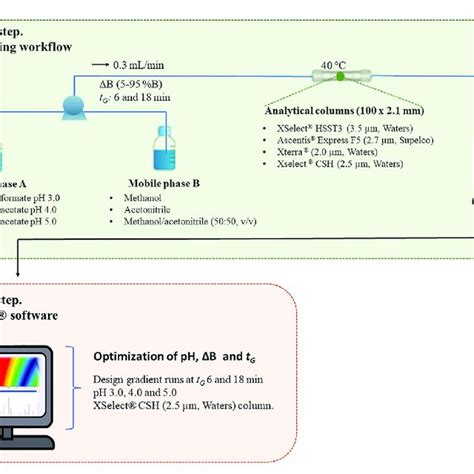 schematic workflow for the chromatographic method development