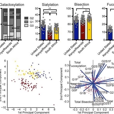 Pdf Antigen Specific Antibody Glycosylation Is Regulated Via Vaccination