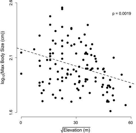 The Relationship Between Maximum Body Size And Elevation Note That The Download Scientific