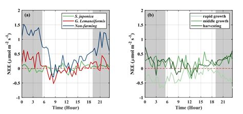 Eddy Covariance Data Reveal Carbon Dioxide Removal Potential Of