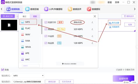flac格式车载能播放吗 个方法解决不能播放问题 哔哩哔哩