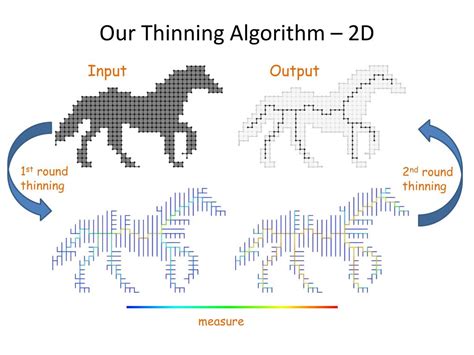 Ppt A Simple And Robust Thinning Algorithm On Cell Complexes
