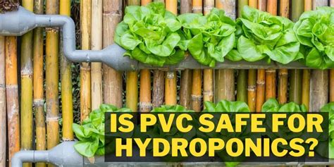 Is Pvc Safe For Hydroponics Click To Know