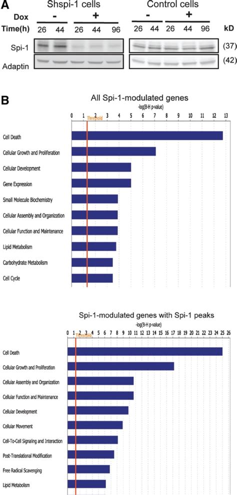 Global Expression Profile Of Spi 1 Modulated Genes A Shspi 1 A2b