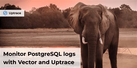 Monitoring Postgresql 15 Logs With Vector And Uptrace Dev Community