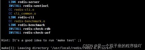 linux安装redis（超详细，附图） csdn博客