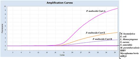 Frontiers Construction Of A One Step Multiplex Real Time Pcr Assay For The Detection Of