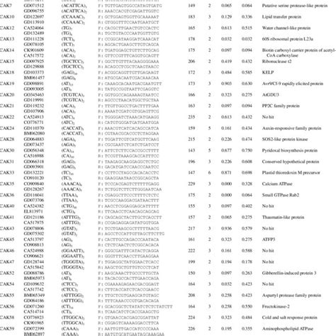 Pdf Identification And Development Of Polymorphic Est Ssr Markers By