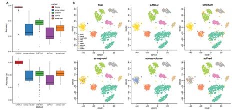 Bioinformatics 注释scrna Seq数据时自动识别新细胞 知乎 Bioinformatics 注释scrna Seq数据时自动识别新细胞 知乎