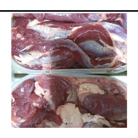 Jual Daging Kambing Muda 1kg Shopee Indonesia