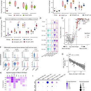 PDF Liver Metastasis Modulate Responses Of Suppressive Macrophages And Exhausted T Cells To