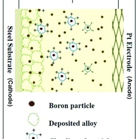 Schematic Representation Of The Boron Co Deposition On The Base Ni W