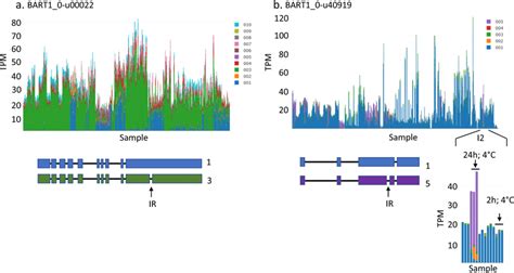 Alternative Transcripts Across The Rna Seq Experiments Different