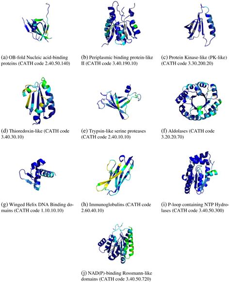 Protein Protein Interface Coverage For 10 Most Populated Superfamilies Download Scientific