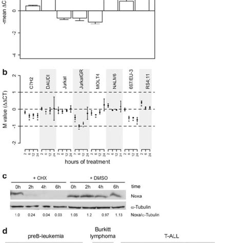 noxa expression and regulation by gc in various leukemic cell lines