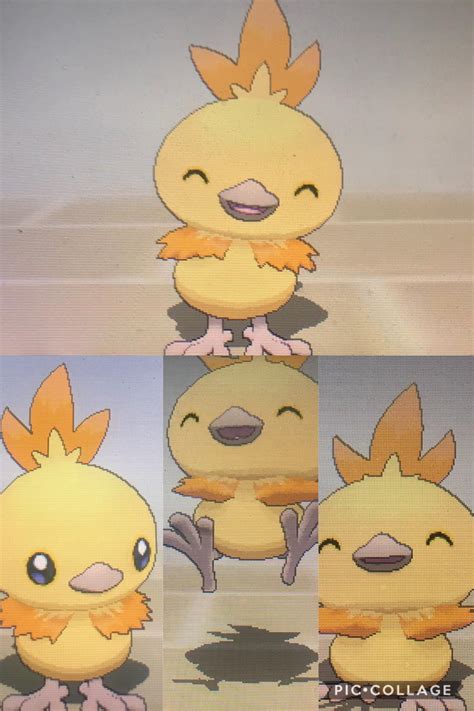 Pokemon X Torchic Code