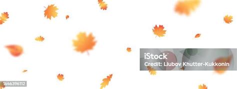 단풍 배경 학교 프레임으로 돌아갑니다 가을 주황색과 빨간색 잎 배너입니다 안녕하세요 가을 카드입니다 소셜 미디어 디자인 큰 가을 세일 단풍나무와 참나무 떨어지는 단풍나무