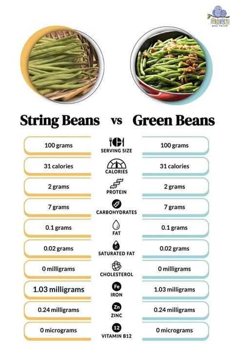 String Beans Vs Green Beans Is There A Difference And 5 Popular Recipes