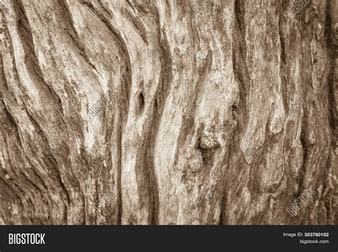 Light Teak Wood Texture