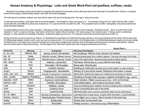 Anatomy And Physiology Prefixes And Suffixes Worksheet Anatomy Worksheets
