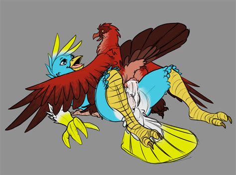 Rule 34 Accipitrid Accipitriform Ambiguous Gender Animal Genitalia