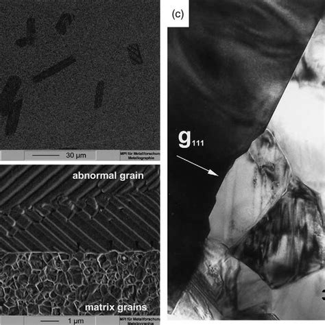 Pdf Investigation Of Grain Boundaries In Abnormal Grain Growth Structure Of Tio2 Excess Batio3