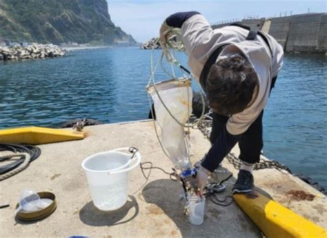 아열대성 해양 미생물 울릉도 출현 확인 파이낸셜뉴스