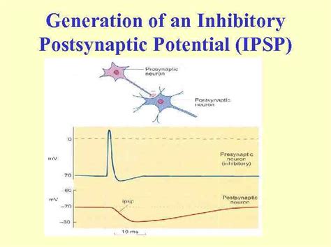 Inhibition In Central Nervous System Cns Properties Of