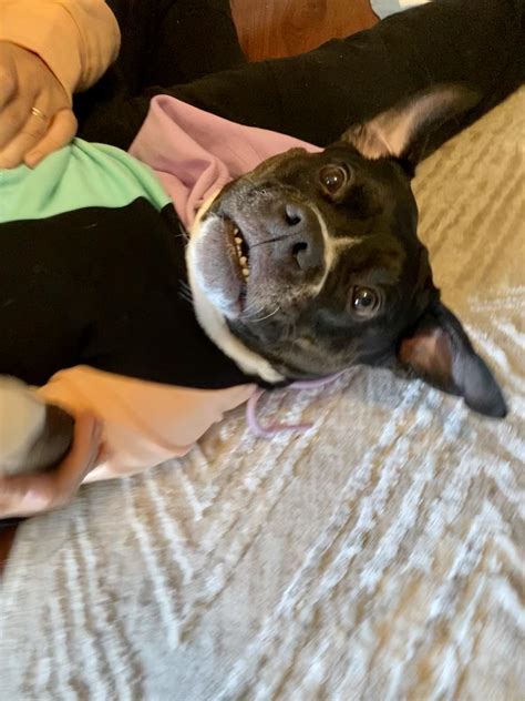 I Call These Teef Her “tiny Tims” R Toofers